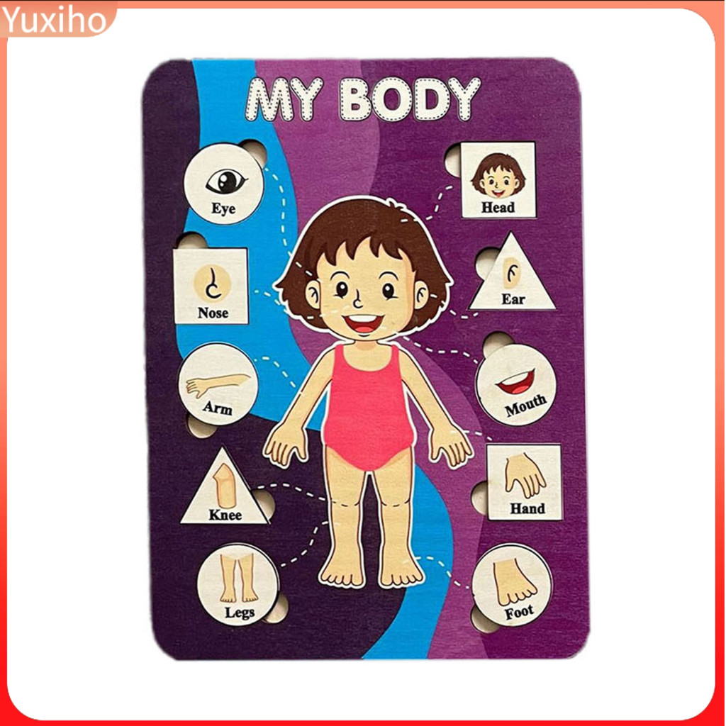 Yuxihon| Hands-on Anatomy Puzzle Body Learning Toy Body Puzzle for Kids ...