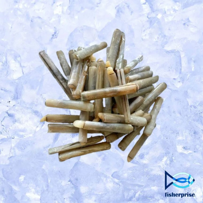 Frozen Razor Clam 竹摊 (1kg) Siput Buloh | Shopee Malaysia