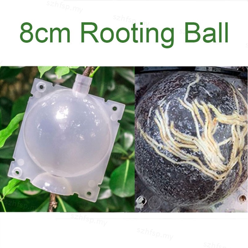 8cm Rooter Grow Box Fruit Tree Plant Rooting Ball Root Growing Case ...