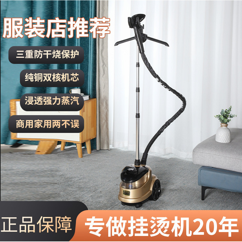 Guiyi Handheld Garment Steamer Vertical Household Ironing Clothes High ...