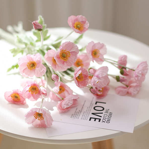 pokok hiasan dalam rumah bunga hiasan Merah jambu mewah, popi, bunga ...