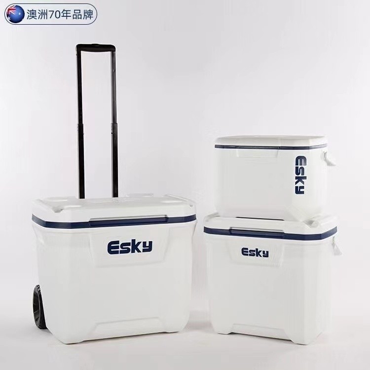Esky Insulation Box Refrigerator Box Household Car Outdoor Food Cooler ...