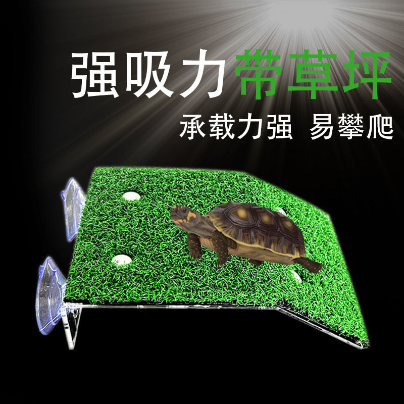 Turtle Drying Table Climbing Table Acrylic Material Full Set Turtle ...