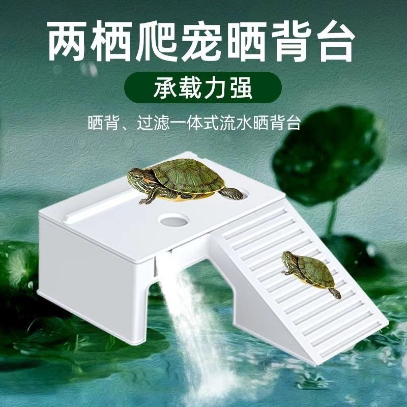 Tortoise Basking Table Climbing Table Avoidance Special Tortoise ...