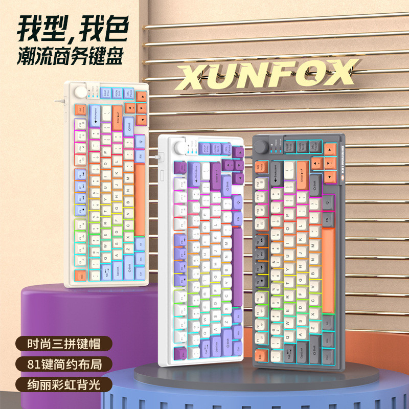 Dazzling Silver Fox K81 Gaming Wired Keyboard MDA Ball Cap Three tone ...