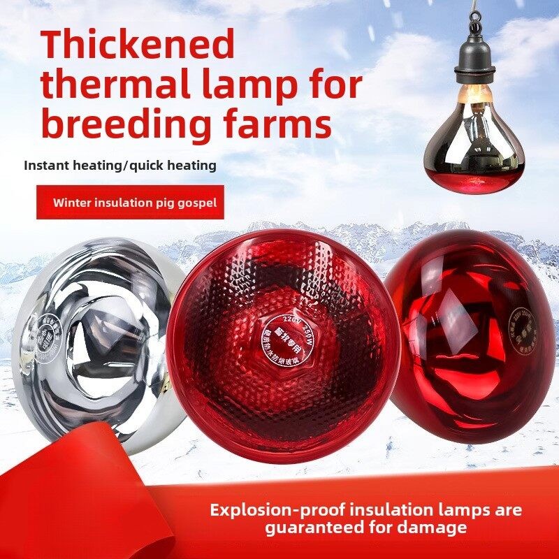 BIA Heating Bulbs for Livestock, Pigs, Poultry, Goats, Cattle Animal ...
