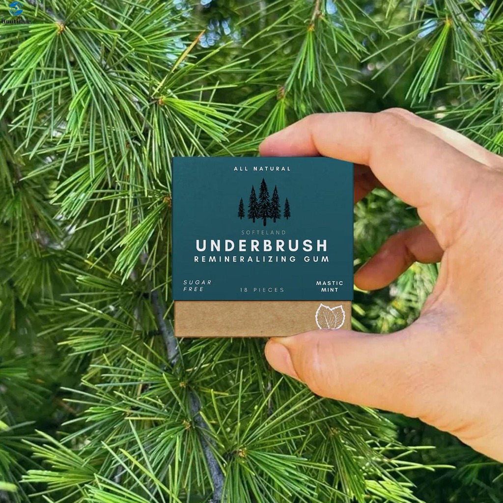 Mastic Mint Xylitol Bubblegum Gum Long Lasting Use Under Brush Chewing ...