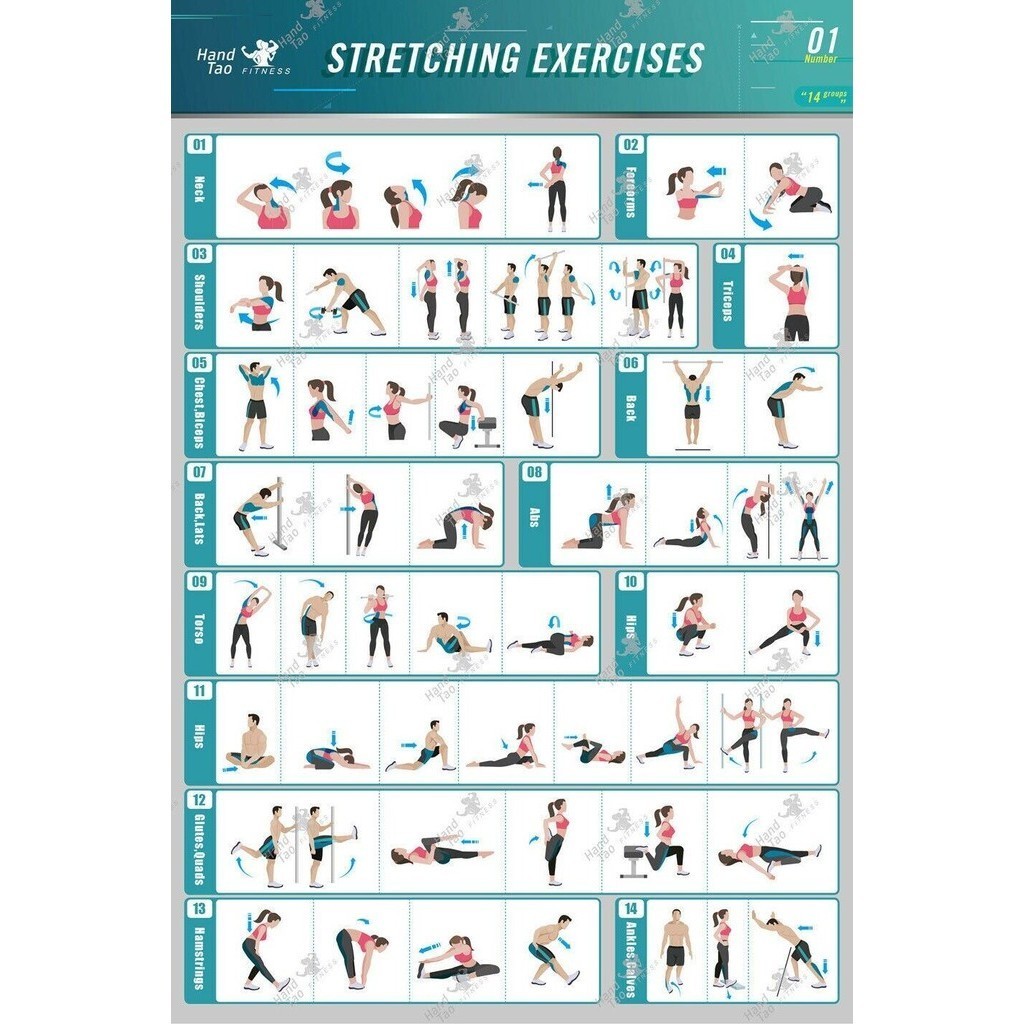 Creative Print Stretching Exercise Poster BodyBuilding Guide Fitness ...