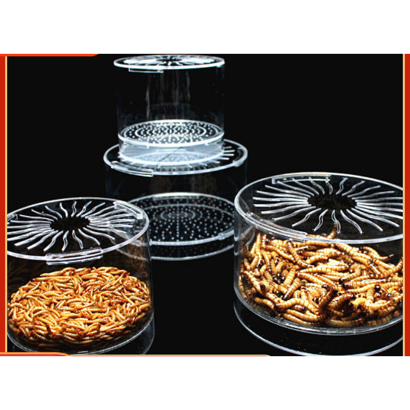 Mealworm Barley Worm Automatic Breeding Box Breeding Box Arowana Fish ...