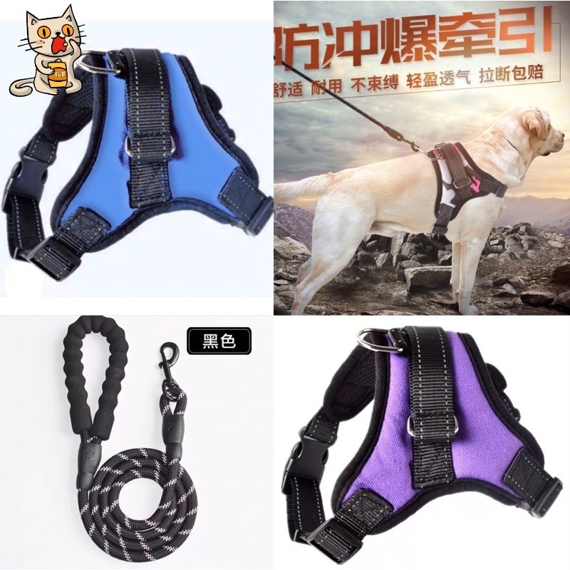 Pet Harness Strap Dog Leashes Dog Muzzle Collar Tali Kucing Tali Anjing ...