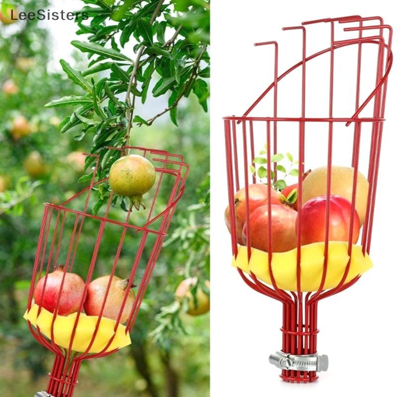 LeeSisters Deep Basket Fruit Picker Head Convenient Fruit Picker ...