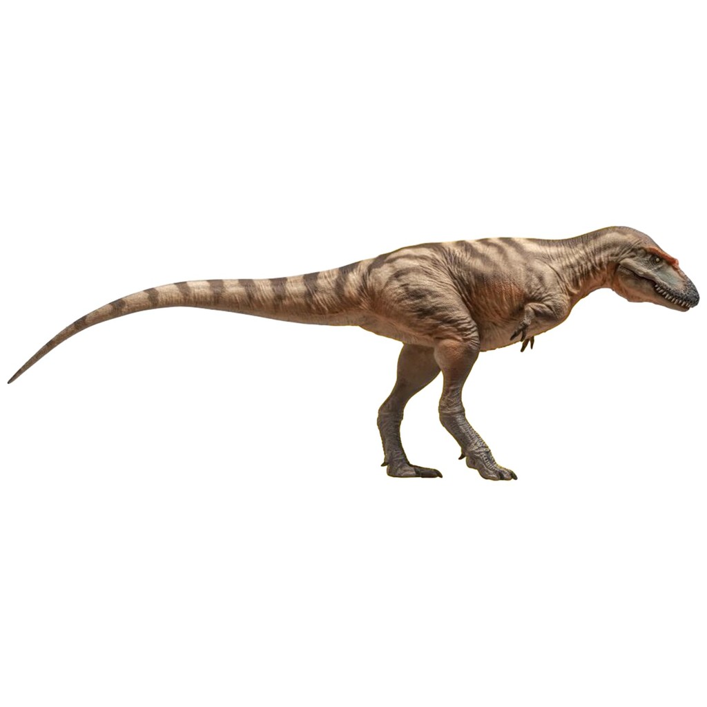 BACALYSO PNSO Growth Series 71 Gorgosaurus Figure Terrifying Lizard ...