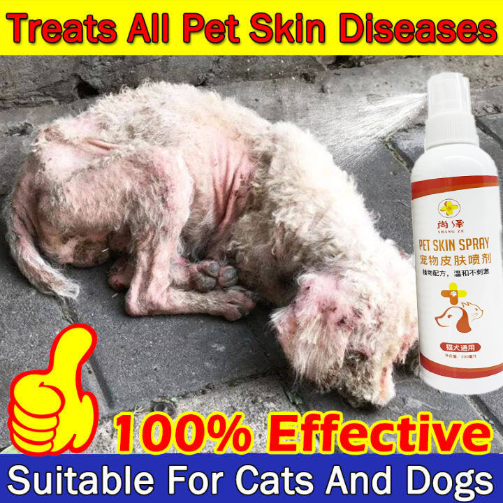 Pet skin treatment spray Pet skin care Antibacterial spray Cats and ...