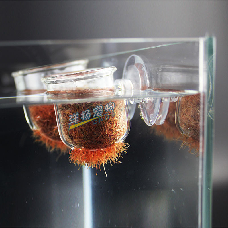 Aquarium Fish Tank Glass Red Worm Cup Line Worm Blood Worm Feeder ...