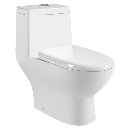 Saniware One Piece WC Toilet Bowl S-Trap Wash Down Water Closet 10 Inch ...