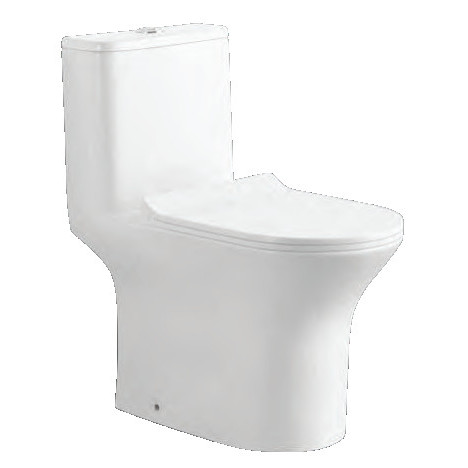 Saniware One Piece WC Toilet Bowl S-Trap Wash Down Water Closet 10 Inch ...
