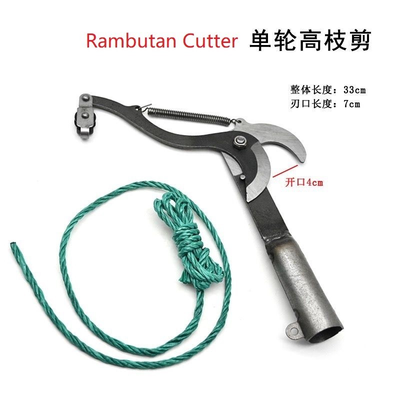 Black Rambutan Cutter Tree Pruner Trimmer Shear Rambutan Shear Gunting ...