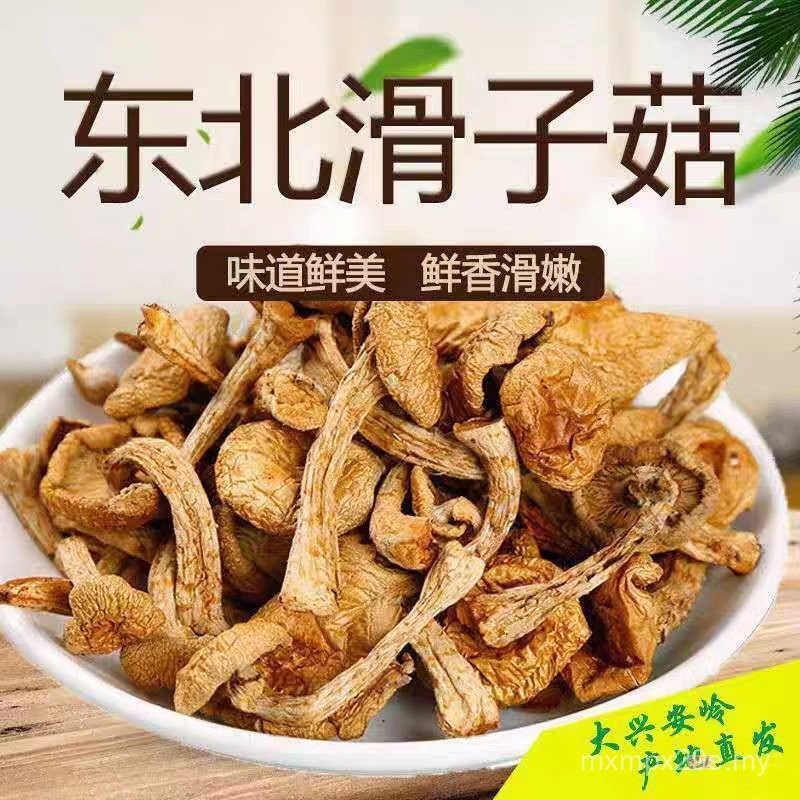 Keistimewaan timur laut Changbai Mountain slaid cendawan kering bukan ...