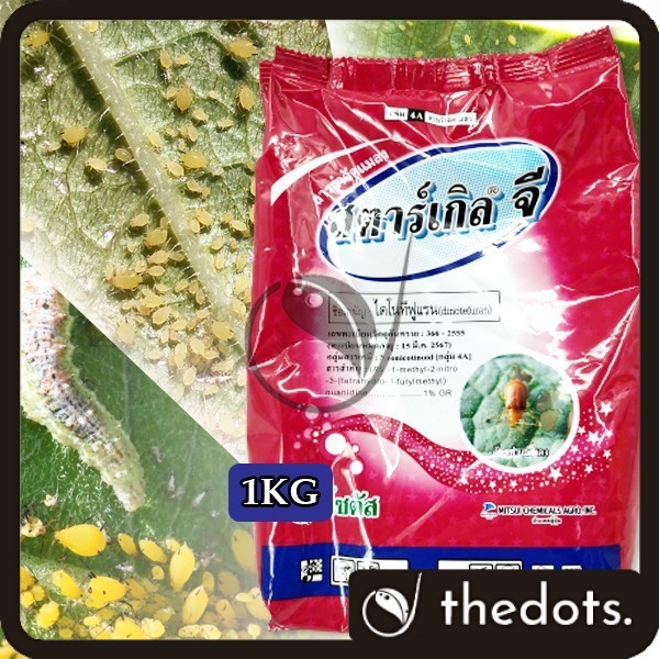 THAILAND STARKLE G 1KG INSECTICIDE OUTDOOR GARDENING 植物抗虫 介壳虫 | Shopee ...