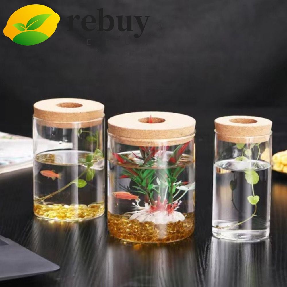 REBUY Hydroponic Plants Flower Pot, Transparent Glass Transparent Glass ...