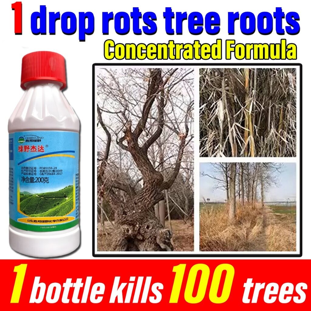 One drop rots tree roots Tree killer 200ml Concentrated formula Racun ...