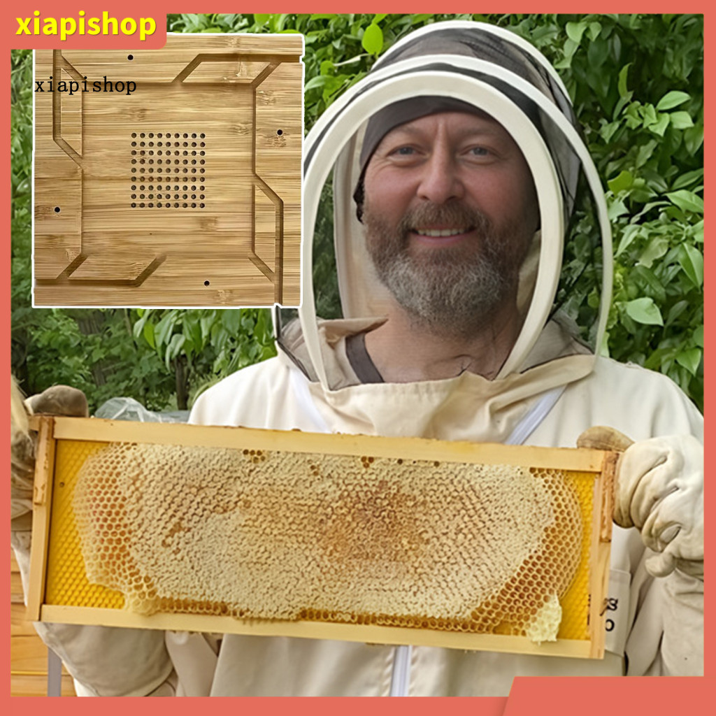 XPS Bee Hive Escape Board Bionic Beehive Hatching Holes Wooden Beehive ...