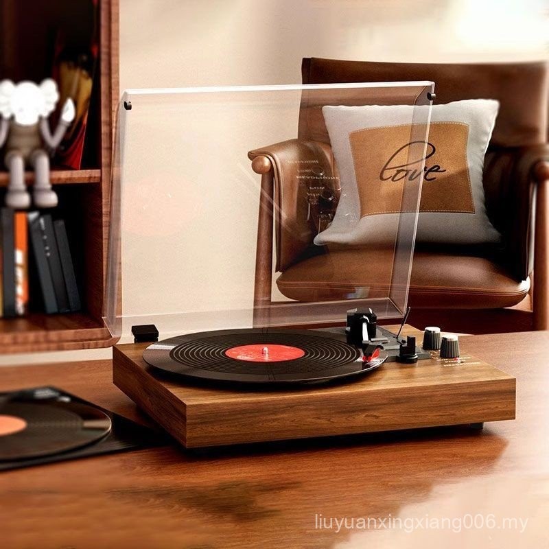 [1136 People Collection] Retro Vinyl Record Player Bluetooth Speaker ...