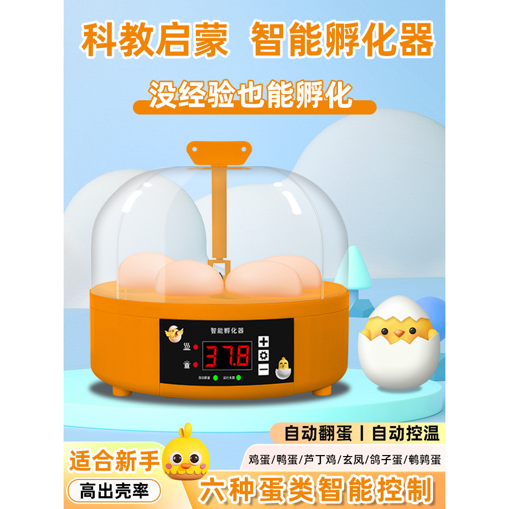 Egg Incubator Small Household Smart Incubator Fully Automatic ...