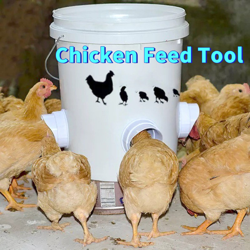 Chicken Feeder Rain Proof Poultry Automatic Feeder No Waste | Shopee ...