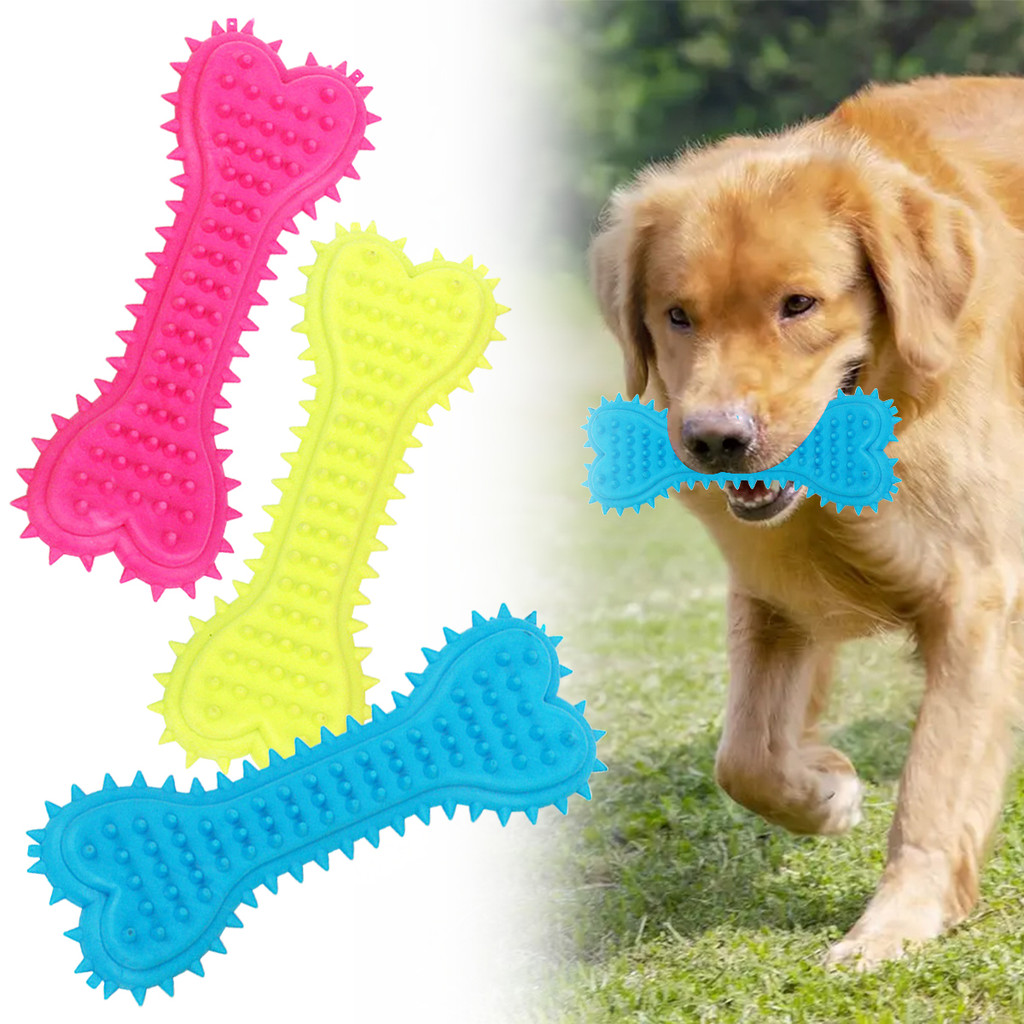 New Dog Toy Rubber Bone Solid Toy With Thorns Pet Grinding Teeth ...