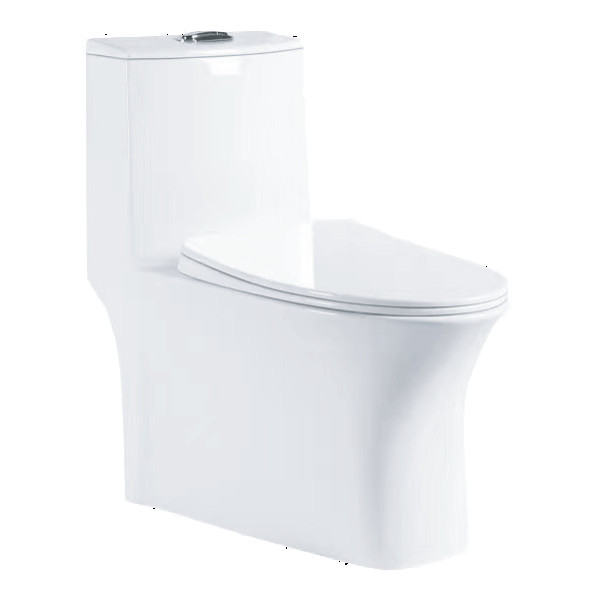 Saniware One Piece WC Toilet Bowl S-Trap Wash Down Water Closet 10 Inch ...