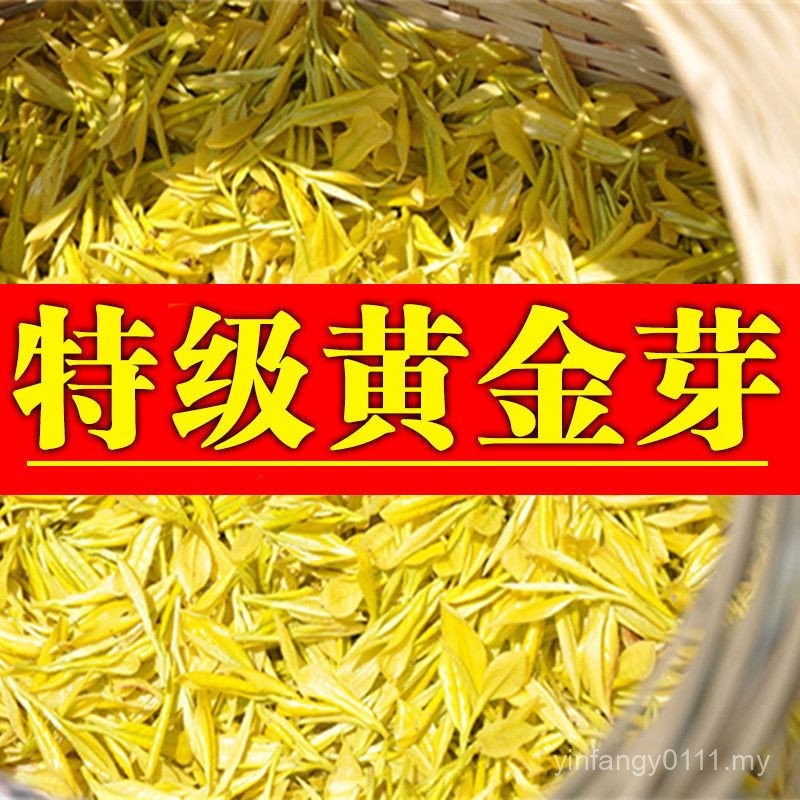 Golden Sprout 23 New Tea Alpine Green Tea Tea Source Produced by Anji ...