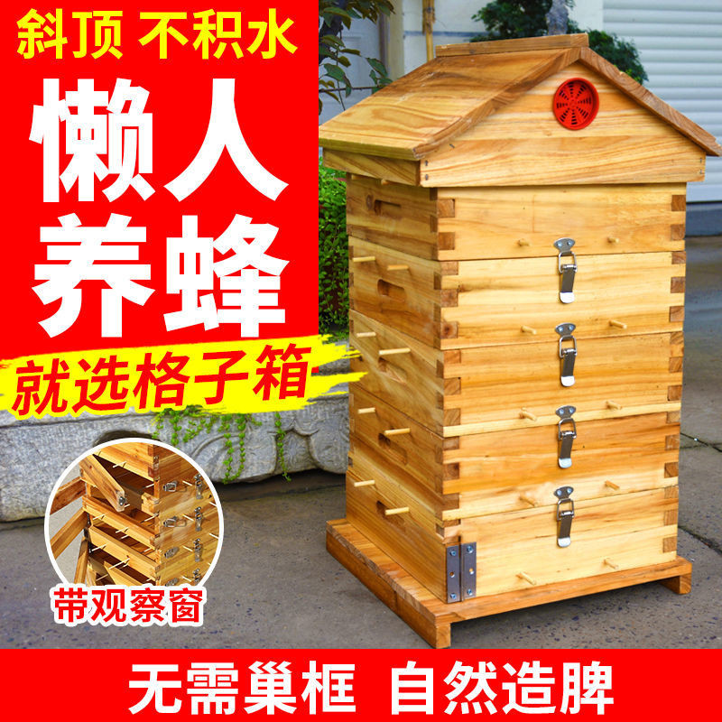 Grid Beehive Beehive Full Set Fir Soil Beehive Tool Beehive-Layer ...