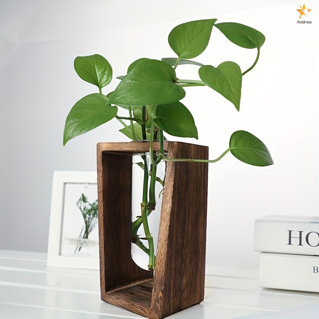 Hydroponic Glass Container Vase Jars Plant Propagation Station Vase ...