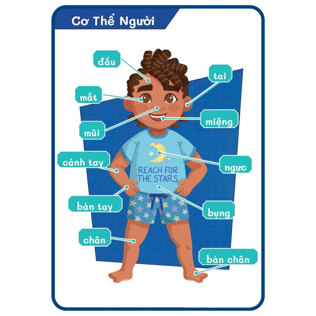 FC06 Poster Human Body Parts Diagram in Vietnamese - Elementary Science ...