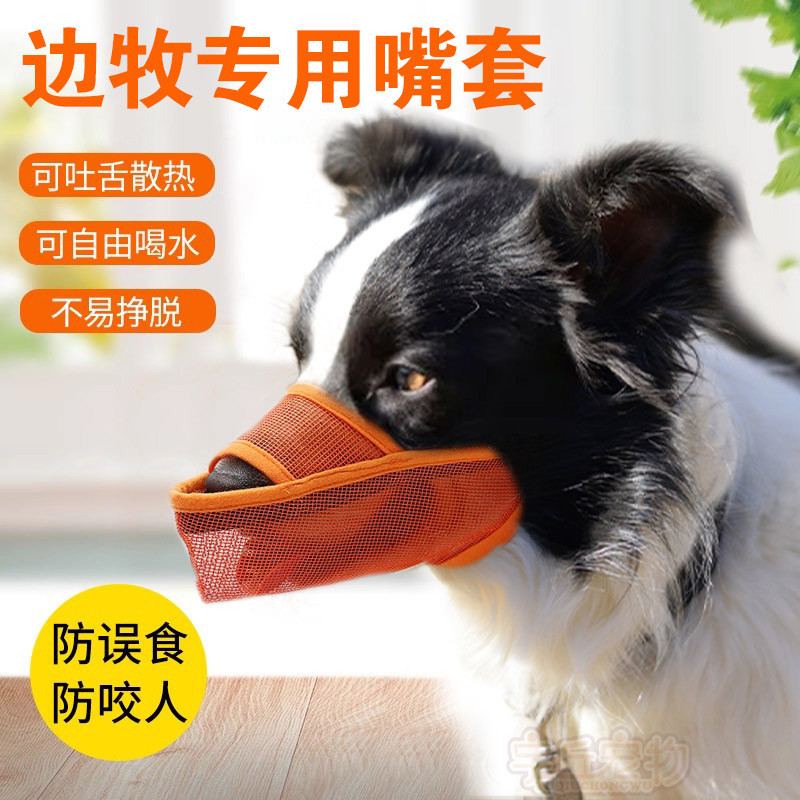 Penutup mulut kegunaan khas Border Collie, topeng anjing, pencegahan ...