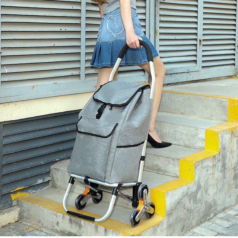 Small Cart for Buying Groceries, Small Pull Cart with Wheels for Buying ...