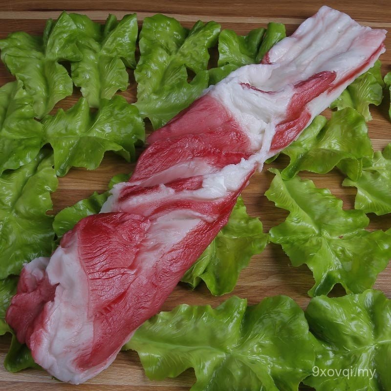 Model daging khinzir simulasi alat peraga daging mentah perut babi ...