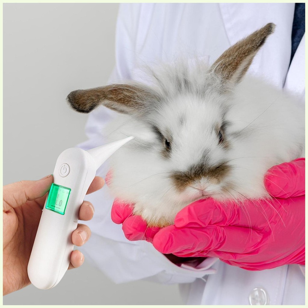 Temperature Meter for Cat Digital Animal Temperature Meter Animal ...