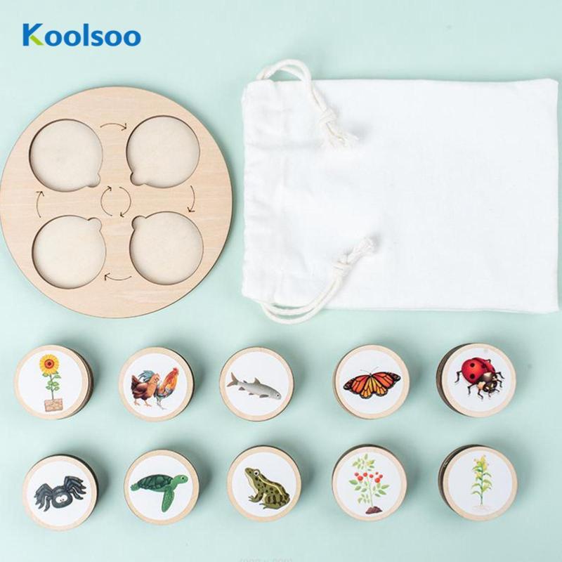 Koolsoo Wood Board Animal Life Growth Cycle Toys Learning Toys ...