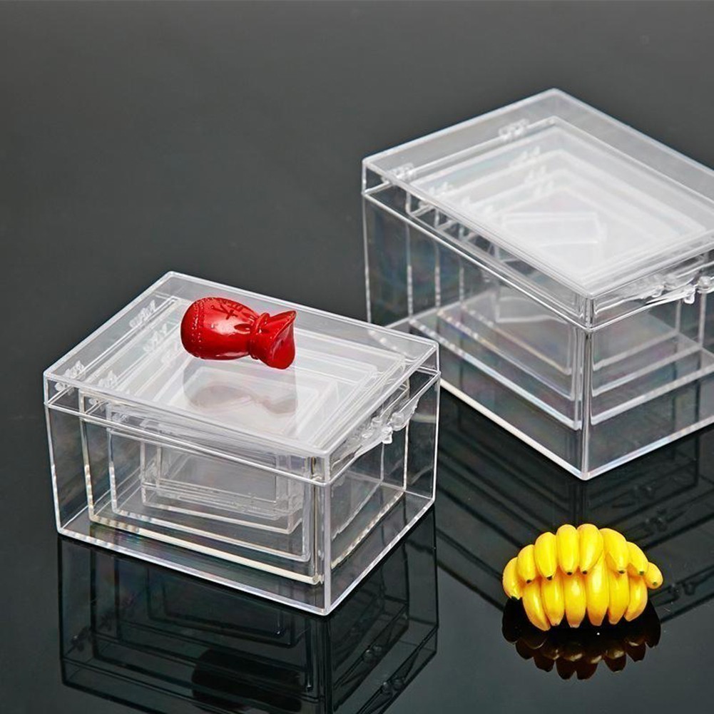{DRHT} Clear Plastic Box Rectangular Insect Specimen Display Desktop ...
