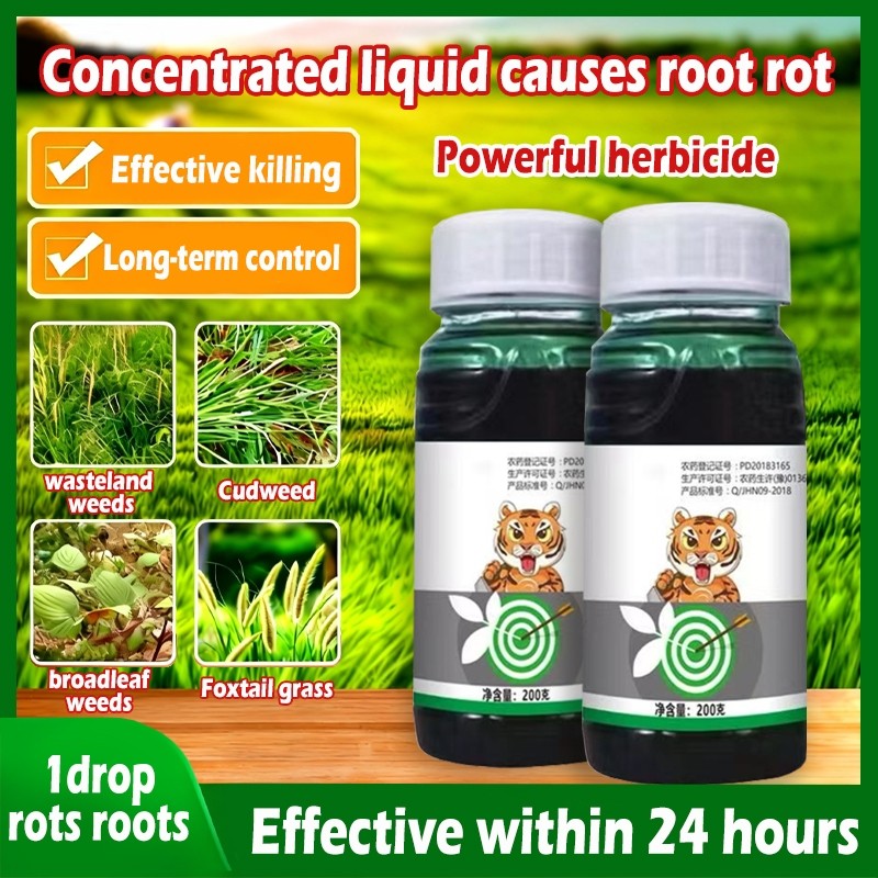 Herbicide Tree Killer Concentrated Tree Killer Tree Root Rot Herbicide ...