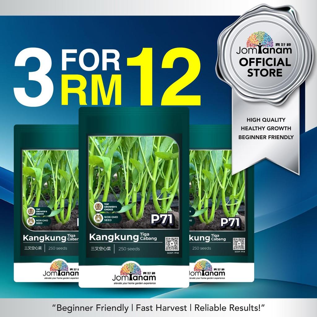 [3 for RM12] Kangkung Seed Tiga Cabang P71 JOM TANAM Benih Kangkong ...