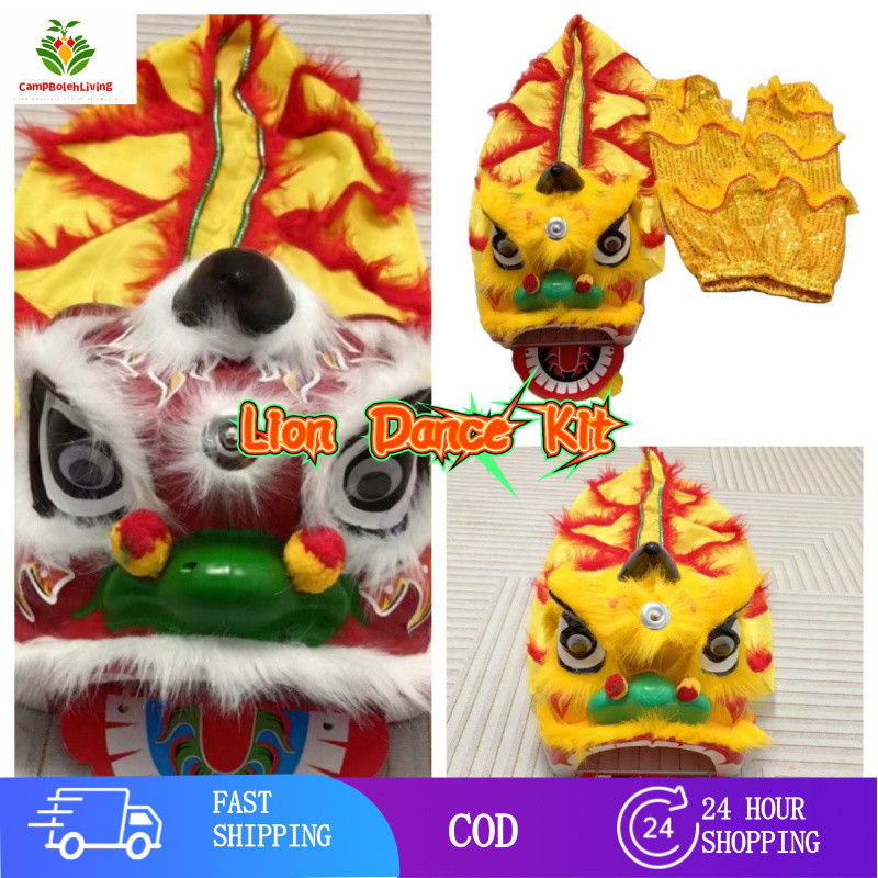 Complete Lion Dance Kit for Kids - Student Performance Set with Lion ...