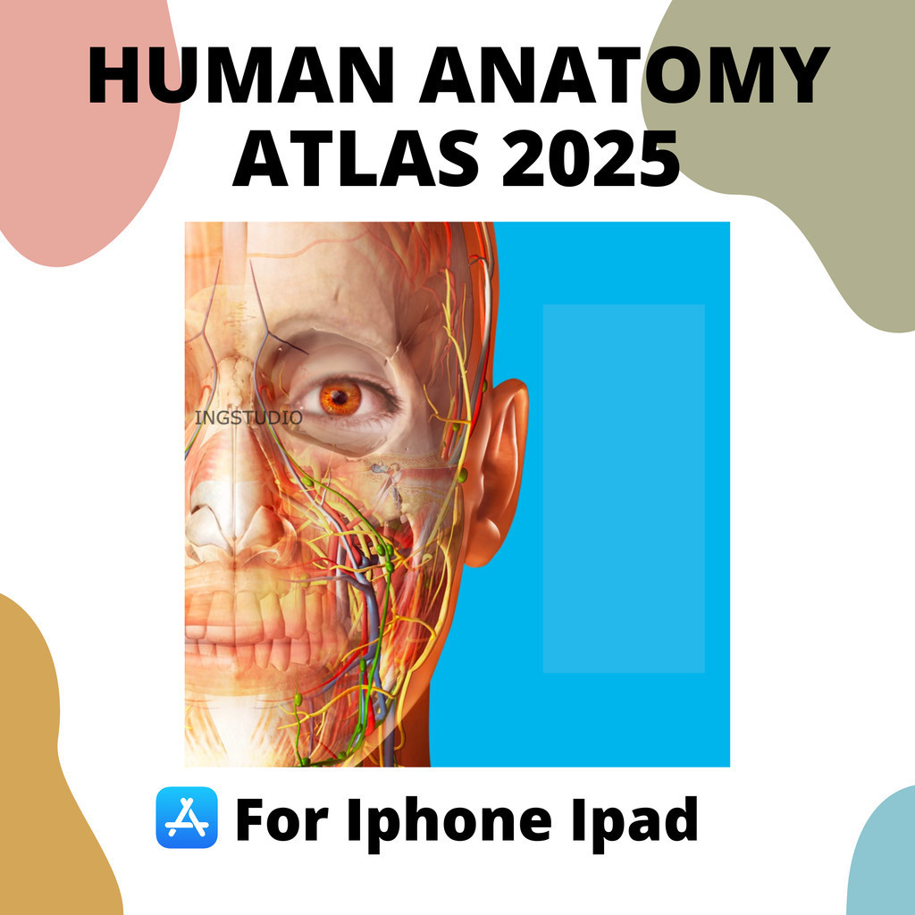 Human Anatomy Atlas 2025 by Visible Body | MBBS apps | Shopee Malaysia