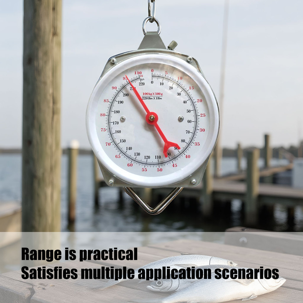 AIGONI™ Fish Scales with 2 Hooks Mechanical Pointer Hook Scale ...