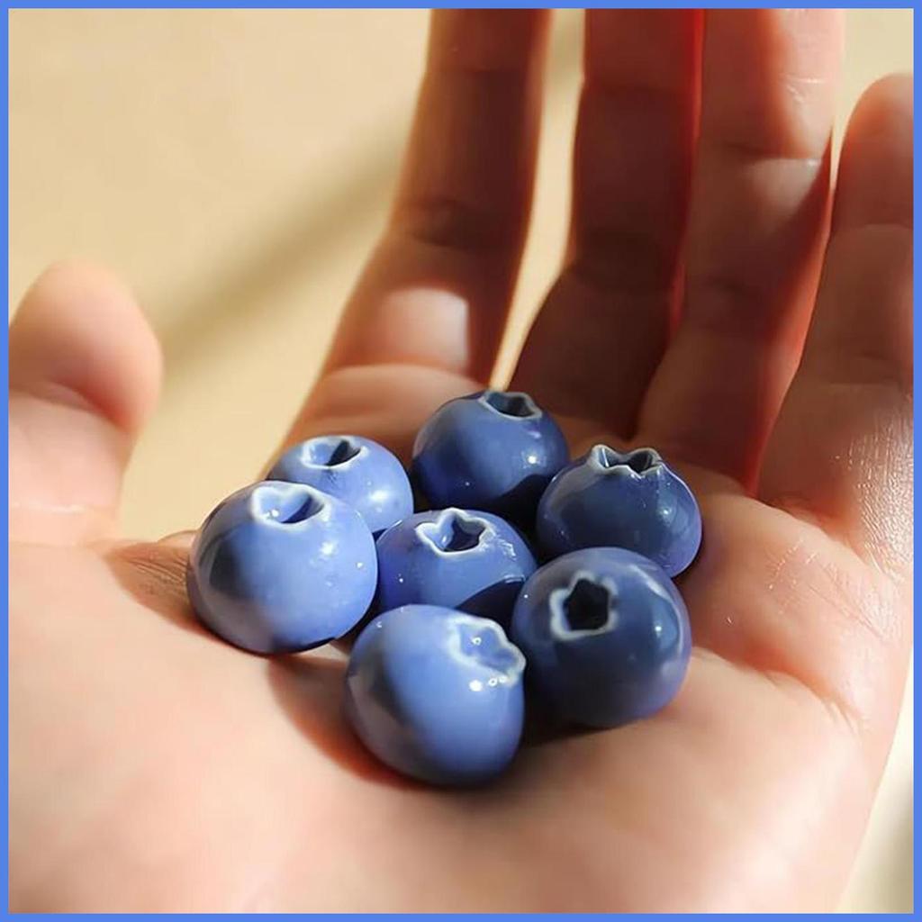 Refrigerator Magnets Realistic Fruit Blueberry Magnets for Refrigerator ...