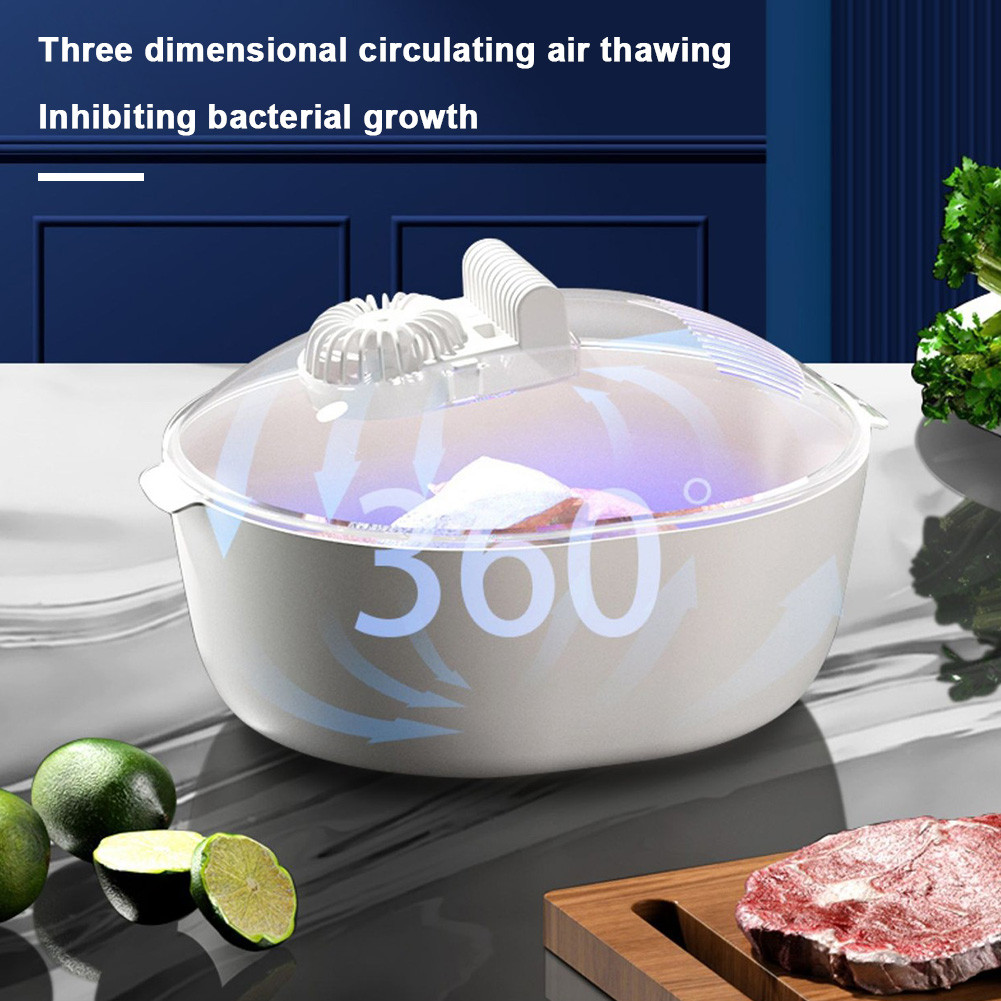 AIGONI™ Smart Quick Thaw Machine Keeps Food Nutritious Frozen Meat ...