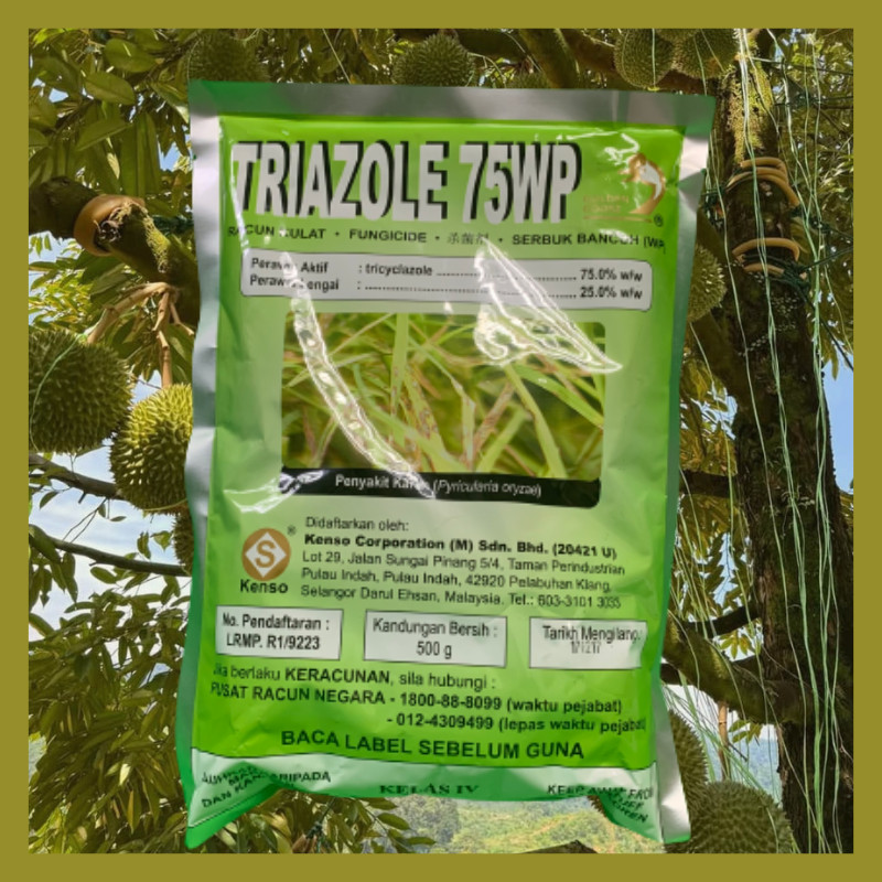 [ORIGINAL] 500G TRIAZOLE 75WP KENSO/Reput tangkai/Karah/Beam Lek Citi ...