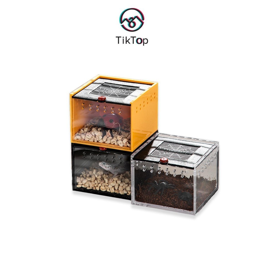 Tiktop Pet Insect Feeding Box Climbing Pet Spider Scorpion Beetle ...